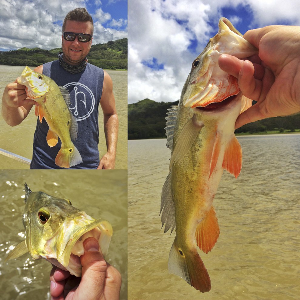Hawaii on the Fly | UrbanAnglersUSA